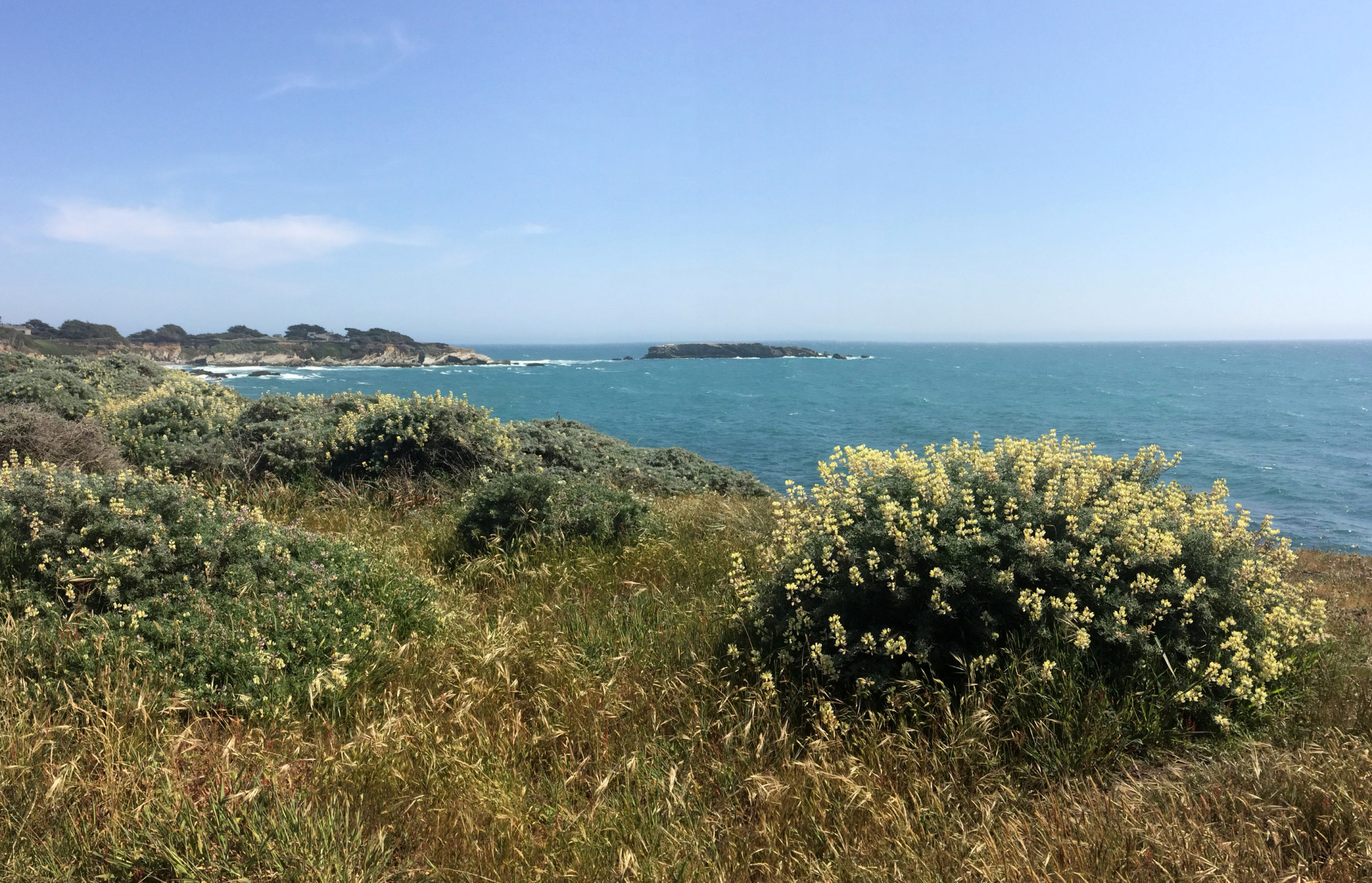 Sonoma Section 2 - California Coastal Trail