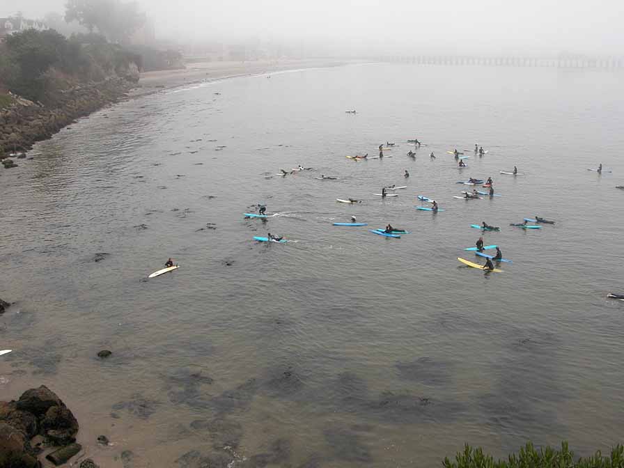 Santa Cruz Section 5 - California Coastal Trail