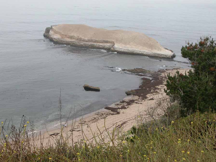 Santa Cruz Section 1 - California Coastal Trail